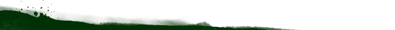 About JJL Trees - JJL Trees